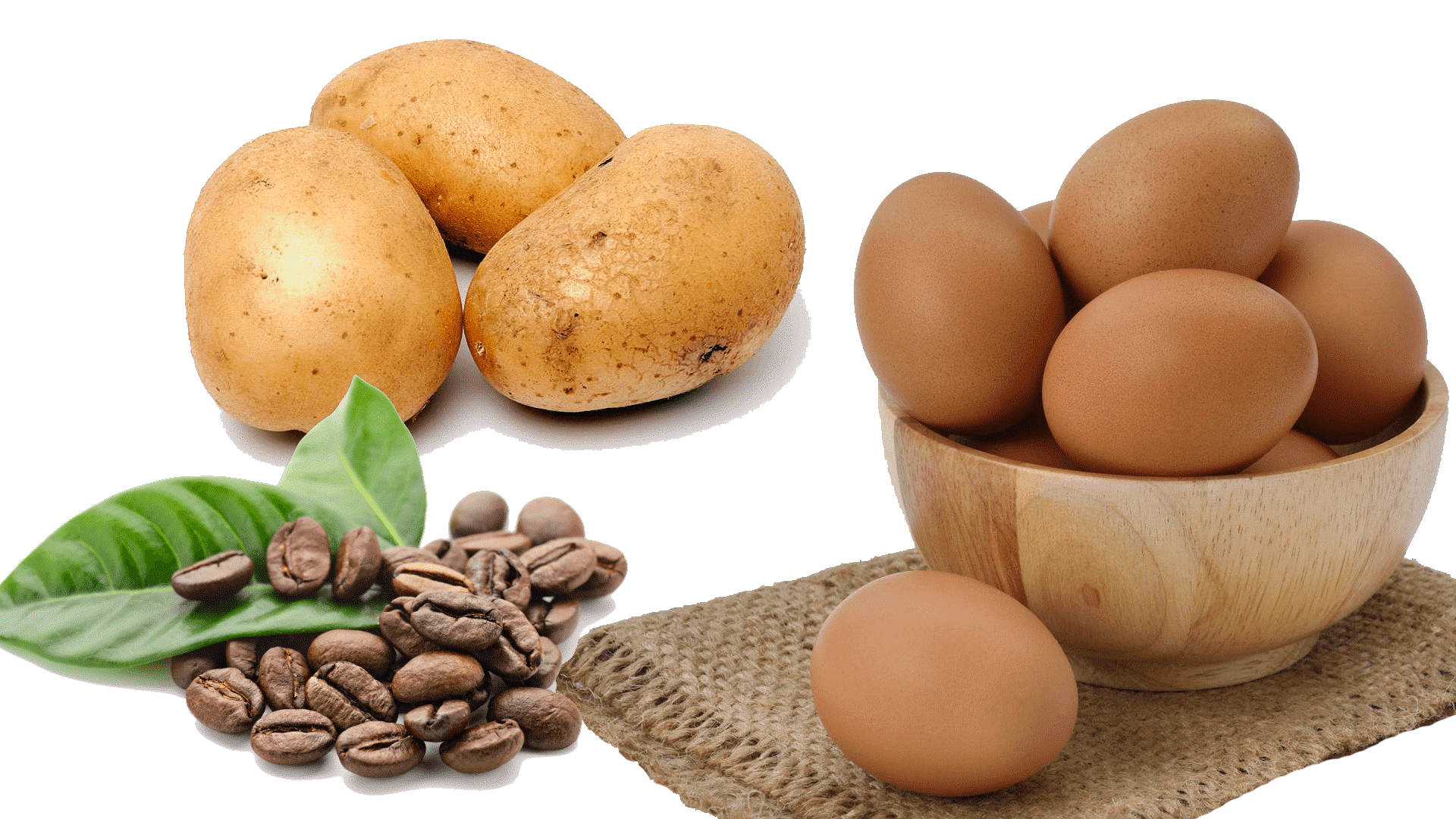 Kentang, Telur, dan Biji Kopi – PERKUMPULAN TRIDHARMA